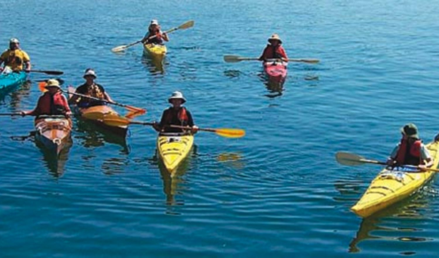 Elements of Coastal Kayaking I | WoodenBoat School