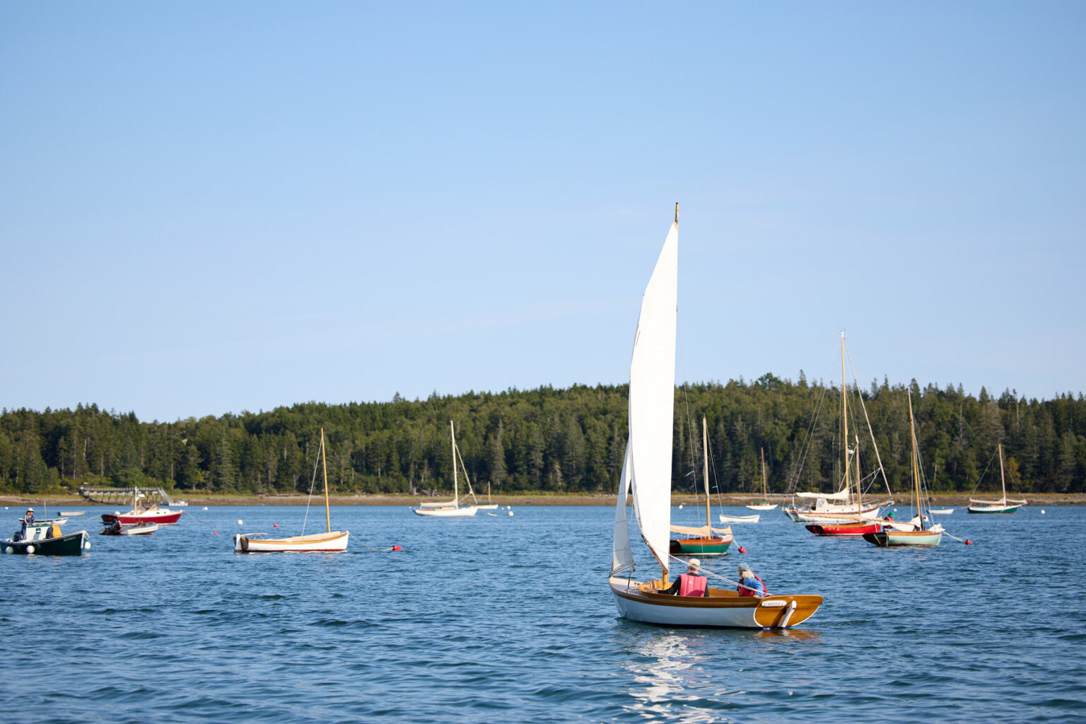 Elements of Sailing I | WoodenBoat School